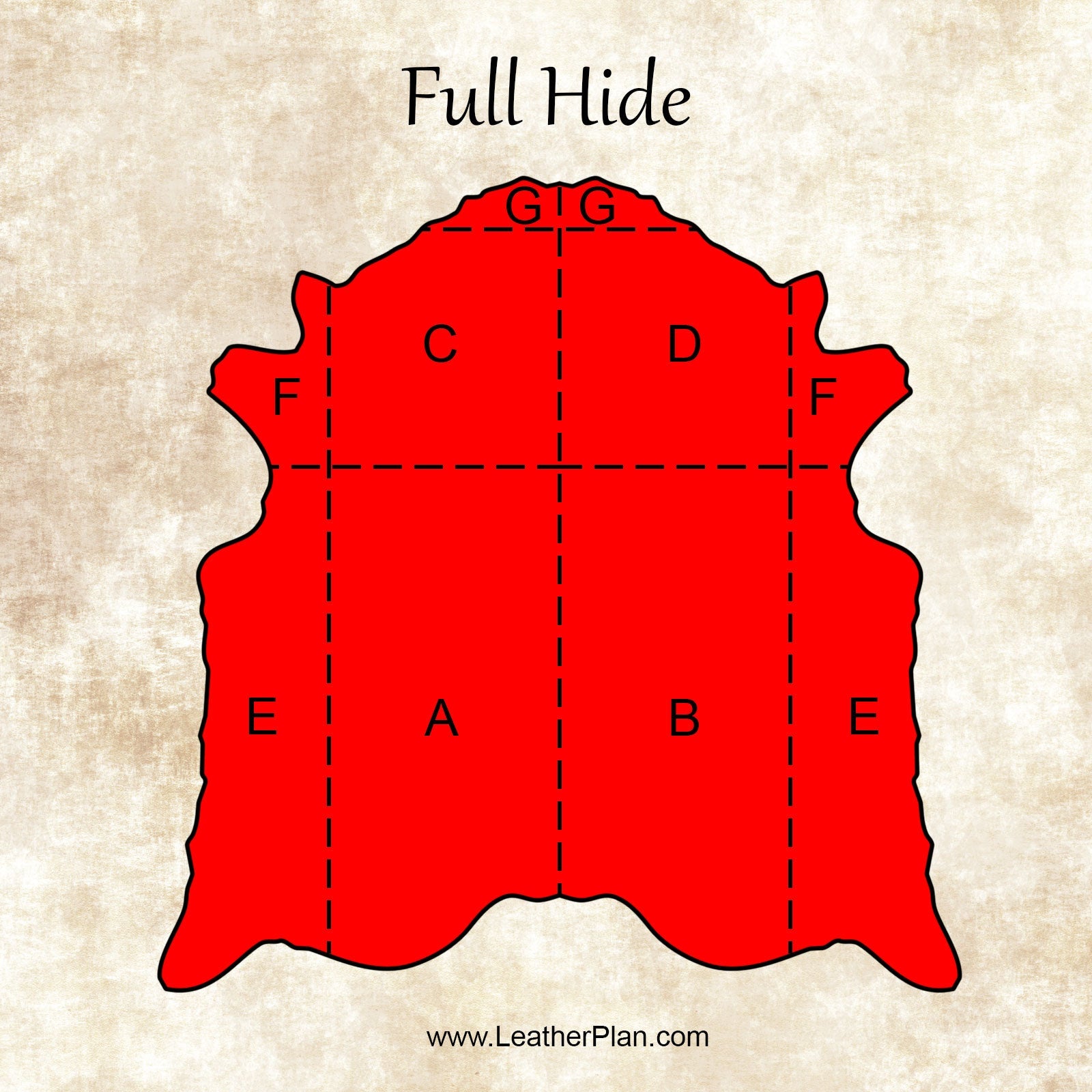 Full Hide – LeatherPlan - Craft Leather Co.